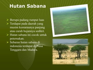 Hutan hujan tropis | PPTX
