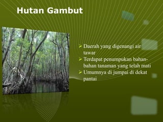Hutan hujan tropis | PPTX