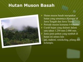 Hutan hujan tropis | PPTX