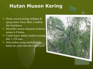 Hutan hujan tropis | PPTX