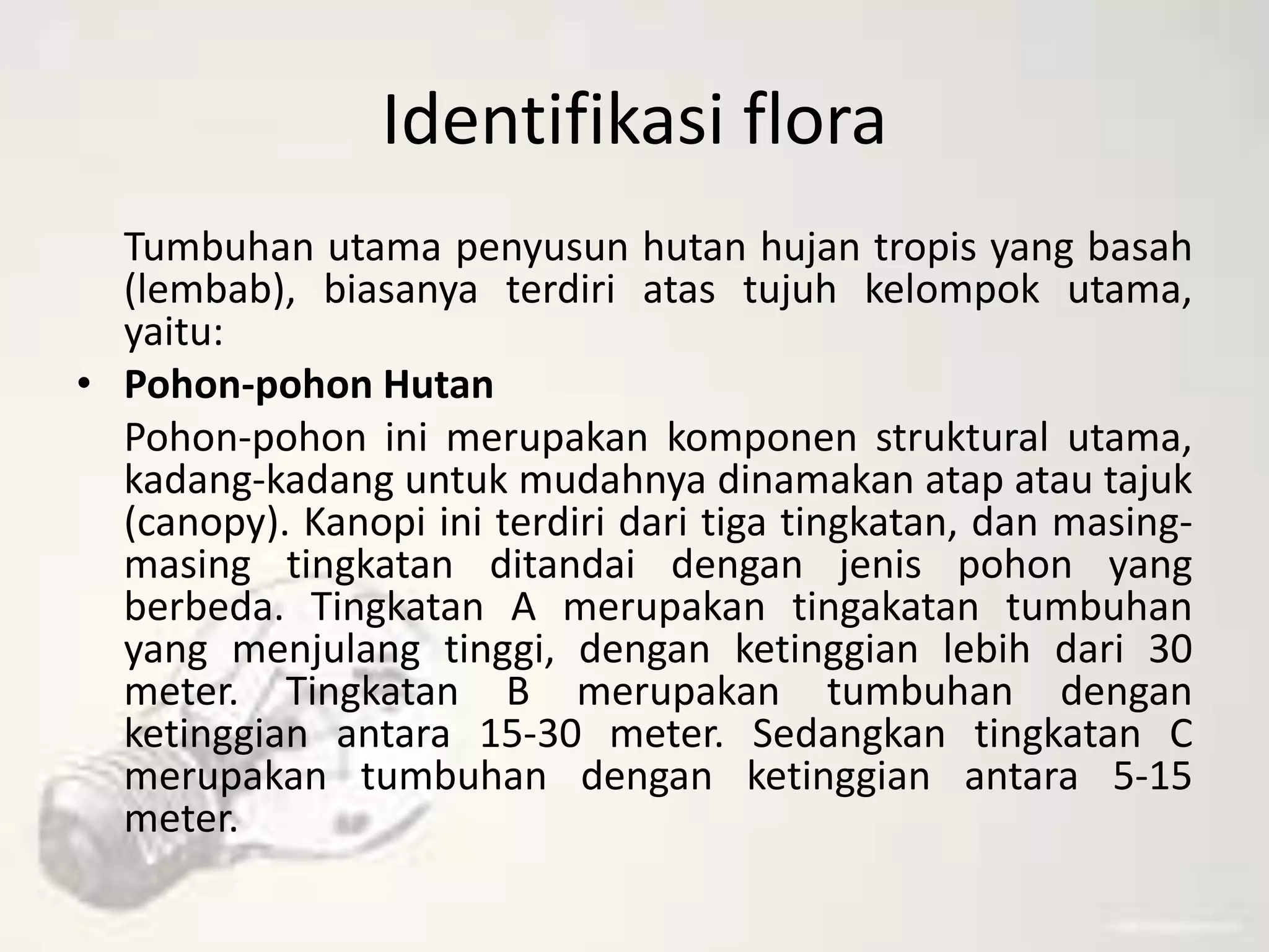 Hutan Hujan Tropis | PPTX
