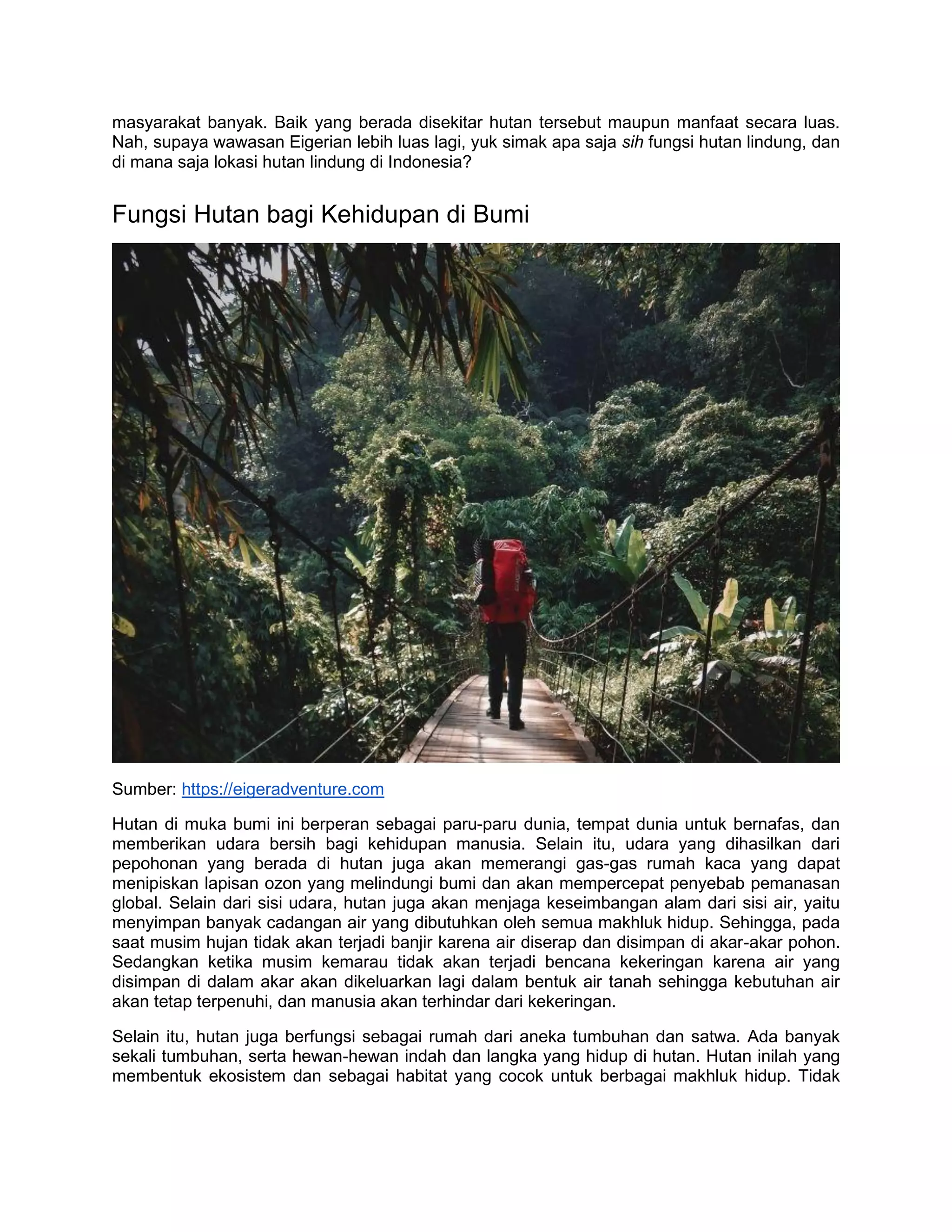 Hutan Lindung_ Pengertian, Fungsi, dan Lokasinya di Indonesia.pdf