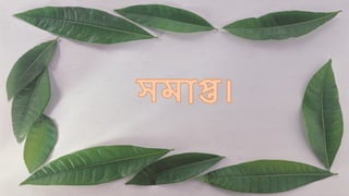 Hutum pechar naksha | PPT