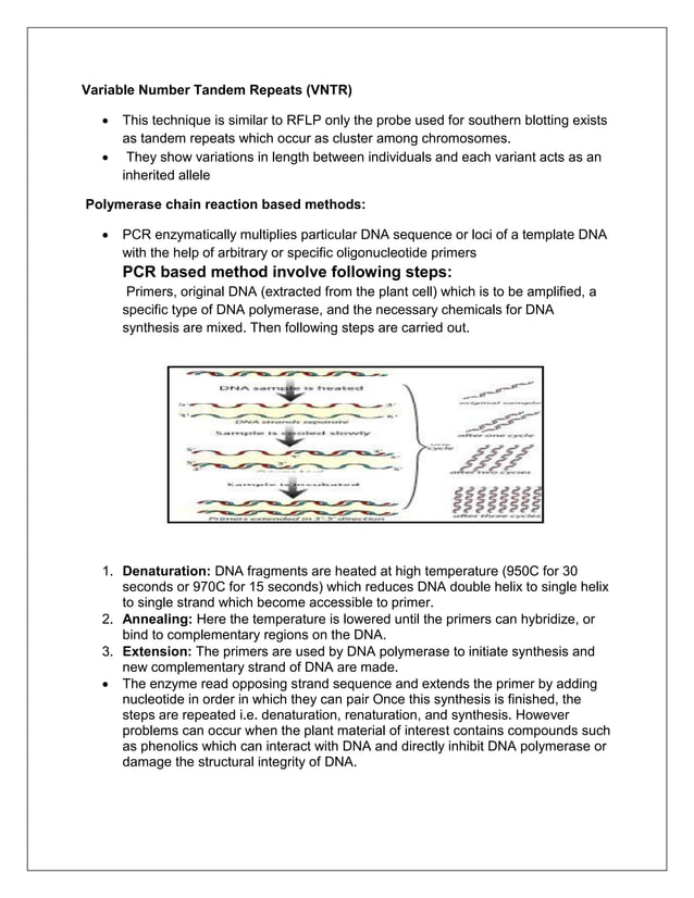 Dna Fingerprinting Technique For Identification Of Drugs Of Natural Origin Ang Microbial