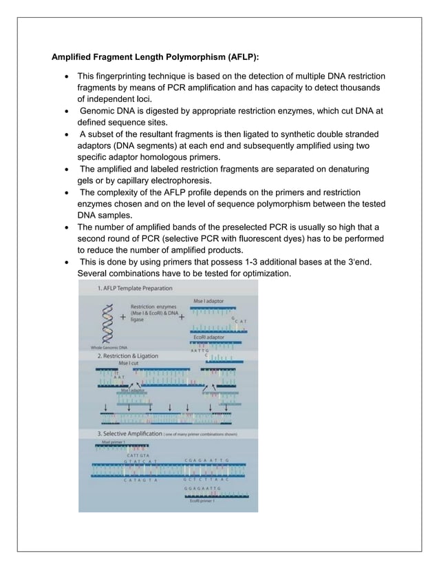 DNA FINGERPRINTING TECHNIQUE FOR IDENTIFICATION OF DRUGS OF NATURAL ...