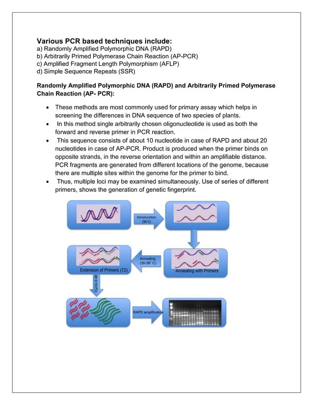 DNA FINGERPRINTING TECHNIQUE FOR IDENTIFICATION OF DRUGS OF NATURAL ...