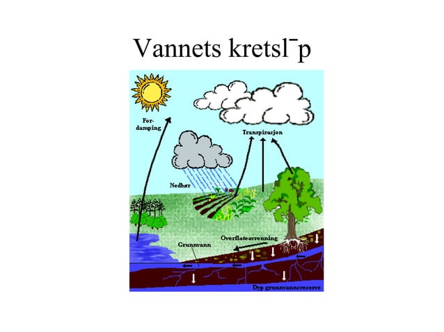 Hva er vann? | PPT