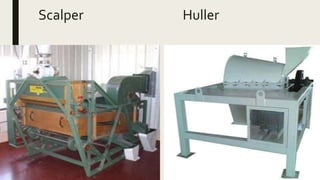 Seed Cleaning process | PPTX