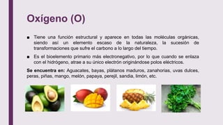 Bioelementos primarios biolemento secundarios y oligoelementos | PPTX