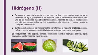 Bioelementos primarios biolemento secundarios y oligoelementos | PPTX