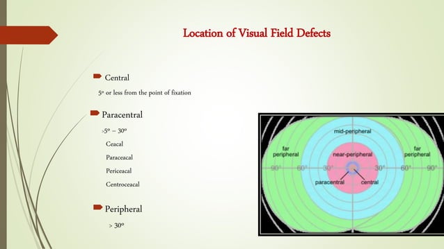 Perimetry & Humprey visual field assay (HVFA) | PPTX | Eye and Vision ...