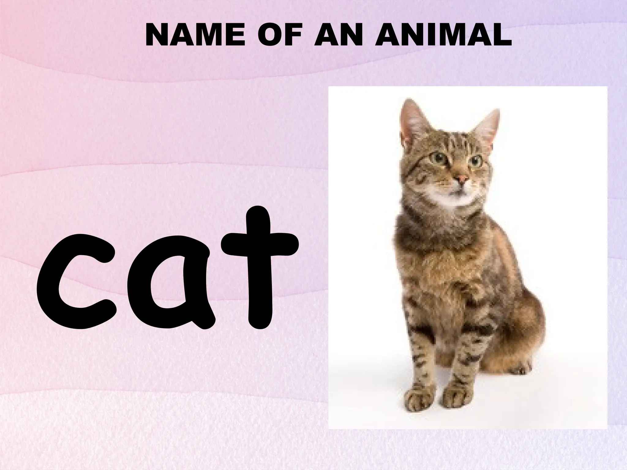 Parts of Speech- Nouns - names of person, place, animal, thing or idea ...