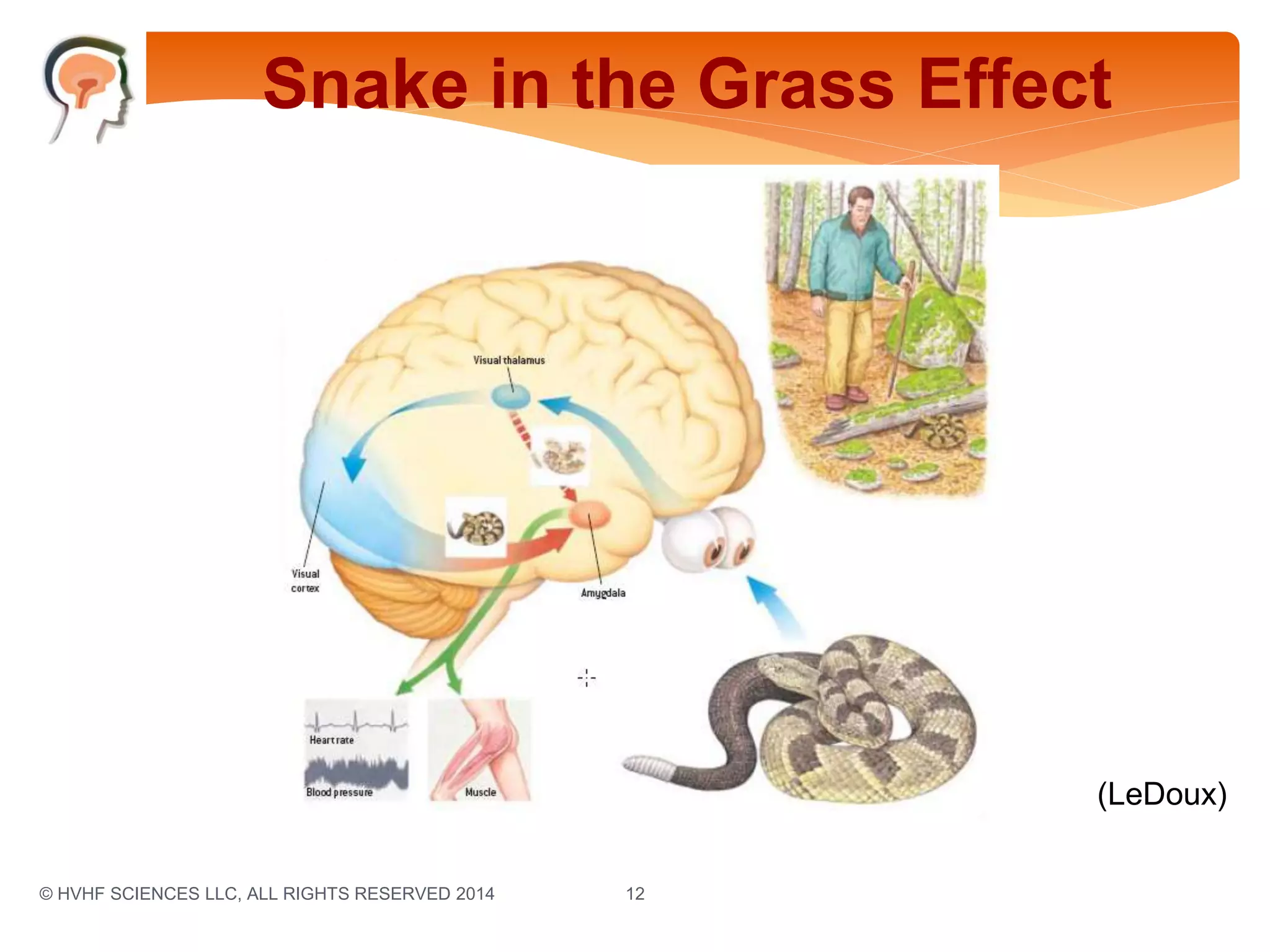 HVHF in Aeronautical Systems: Decision Making on the Flight Deck to D…