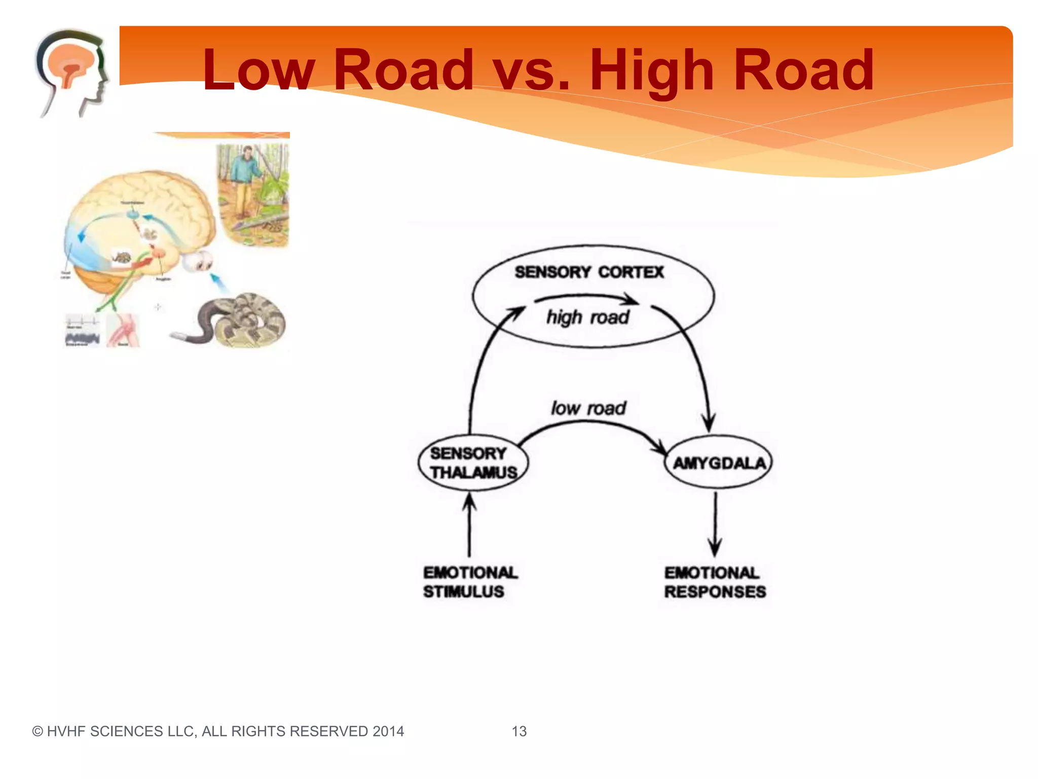 HVHF in Aeronautical Systems: Decision Making on the Flight Deck to D…