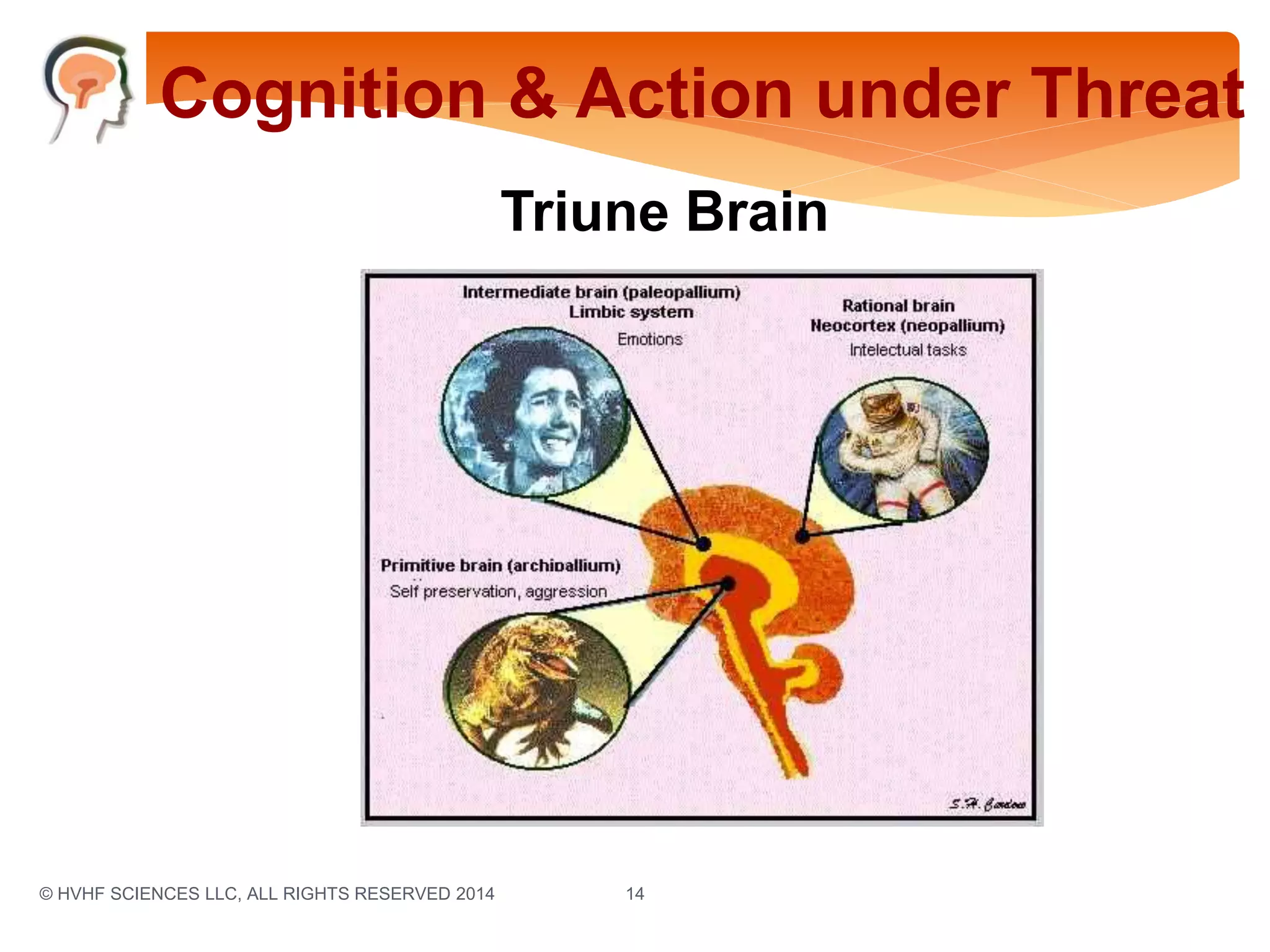 HVHF in Aeronautical Systems: Decision Making on the Flight Deck to D…