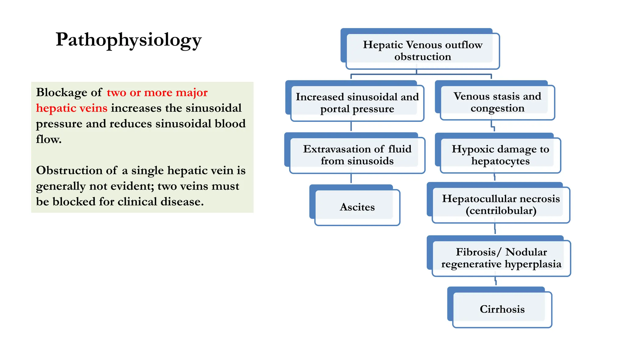 HEPATIC VENOUS OUTFLOW TRACT OBSTRUCTION/BUD-CHAIRI SYNDROME (BCS/HVOTO ...