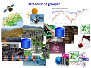 BigDataGrapes_Wine Making Pilot | PPT