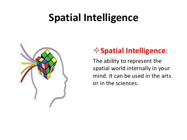 Spatial Intelligence