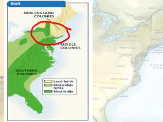 Colonial Regions | PPTX
