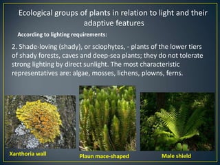 Ecology.ppt