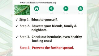 Prevent Spread of HWA | PPT