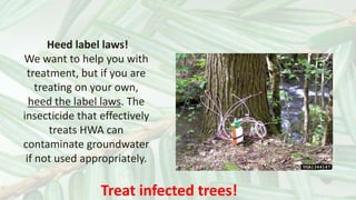 Prevent Spread of HWA | PPT