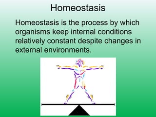 The human body | PPT