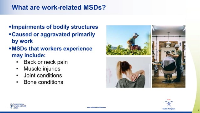 Risk Assessment for Musculoskeletal Disorders (MSDs) | PPTX | Physical ...