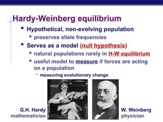 HW equilibrium .ppt