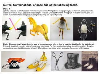 Metamorphosis scheme of work, Surreal Combinations | PPTX