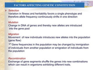 Hardy-Weinberg Law | PPT