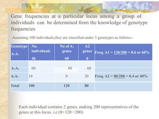 Hardy-Weinberg Law | PPT
