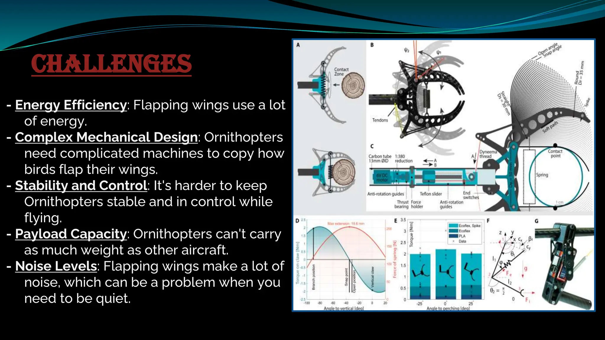 **The Fascinating World of Ornithopters: Emulating Nature's Flight** | PPT