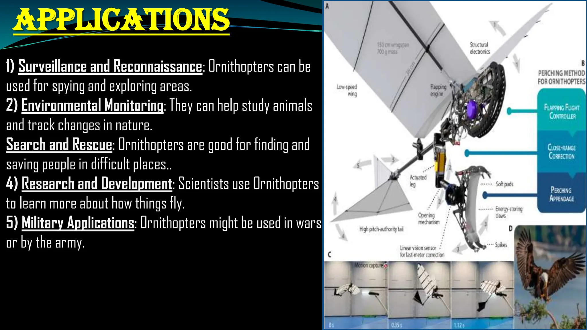**The Fascinating World of Ornithopters: Emulating Nature's Flight** | PPT
