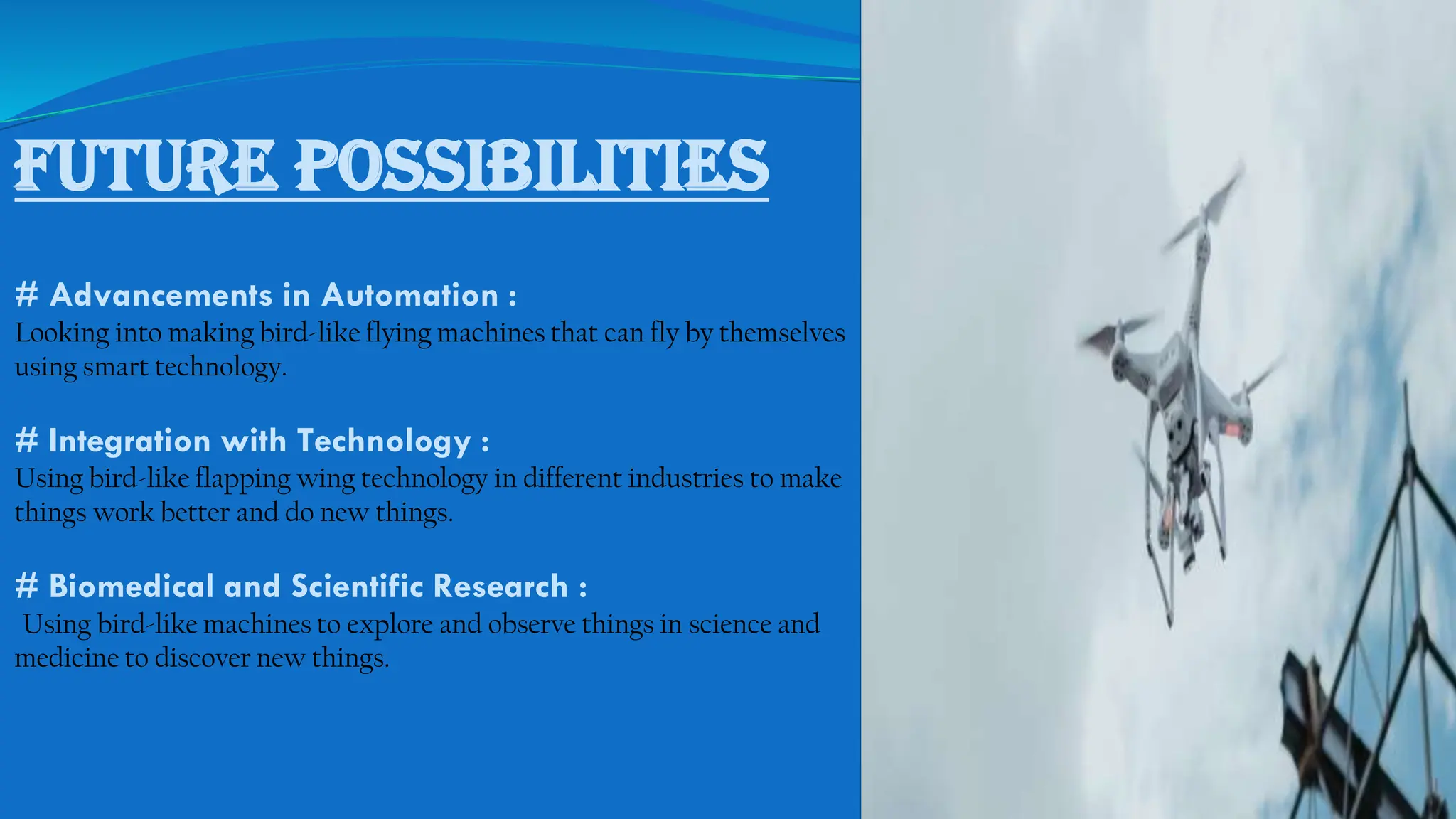 **The Fascinating World of Ornithopters: Emulating Nature's Flight** | PPT