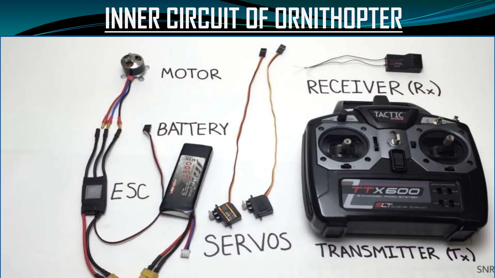 **The Fascinating World of Ornithopters: Emulating Nature's Flight** | PPT