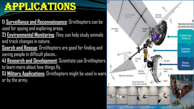 **The Fascinating World of Ornithopters: Emulating Nature's Flight** | PPT