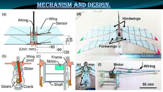 **The Fascinating World of Ornithopters: Emulating Nature's Flight** | PPT