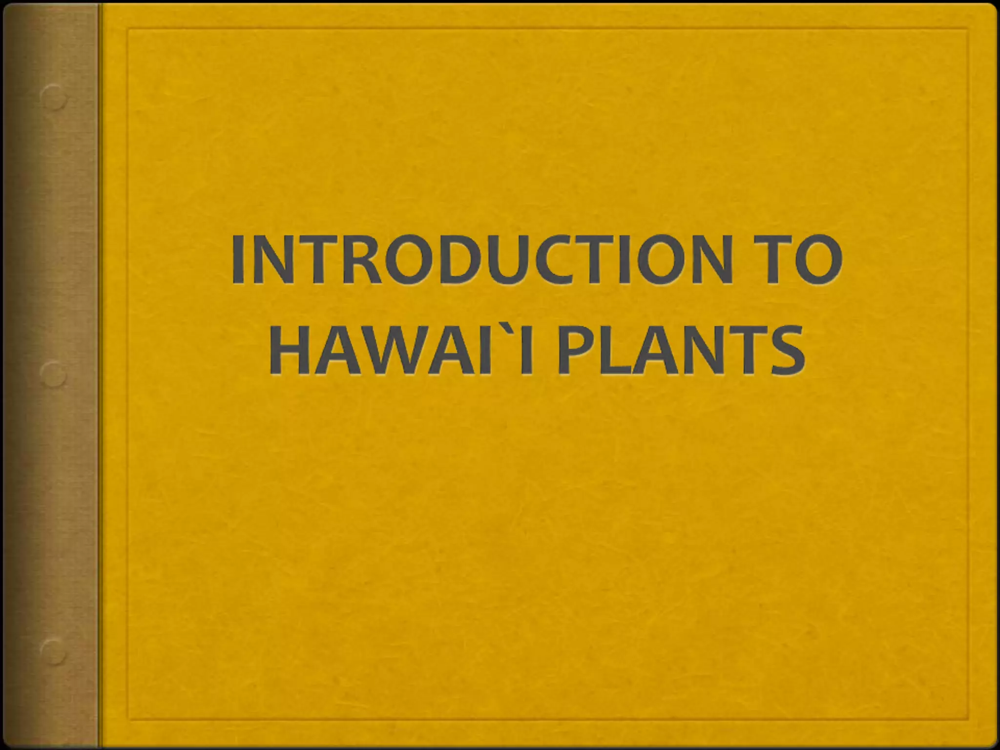 Hwst 105 overview | PPTX