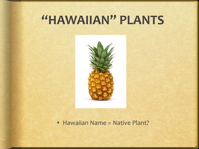 Hwst 105 overview | PPT