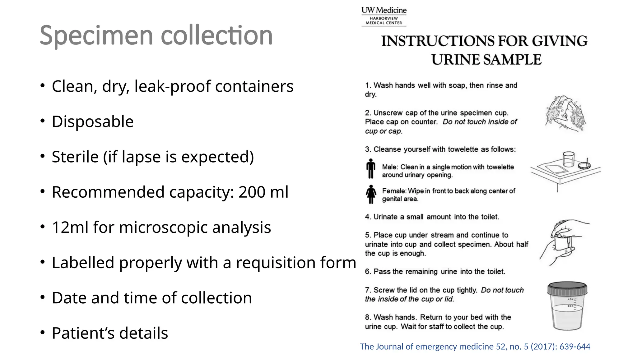 URINE Sediment Analysis in Clinical Pathology | PPTX