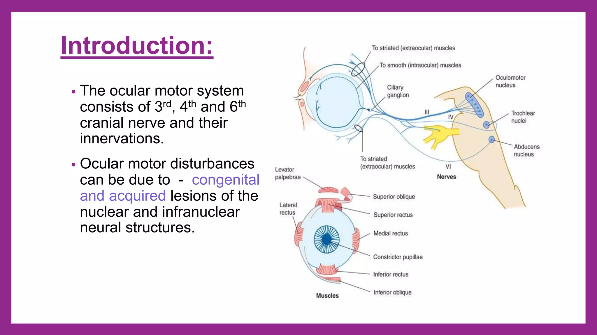 Ocular nerve palsy - 3rd, 4th and 6th cranial nerve palsy | PPTX