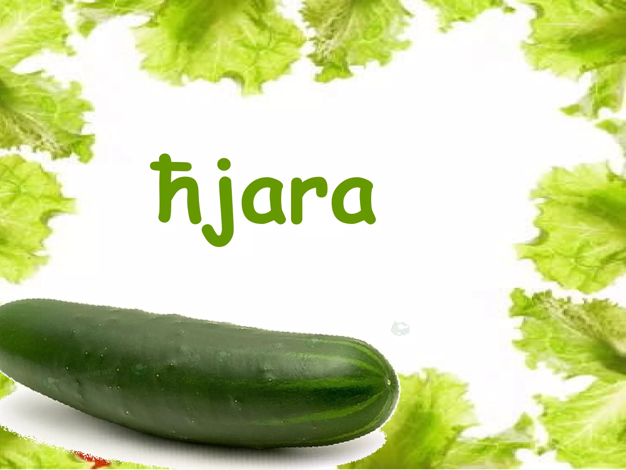 Hxejjex li nieklu 2 | PPT