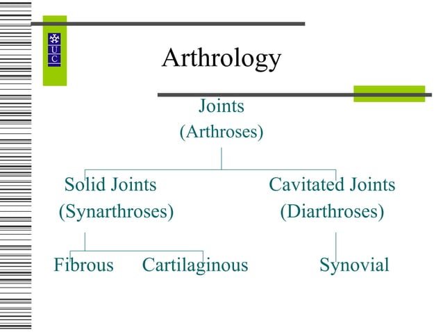 History of Manual Therapy and Arthrology | PPT