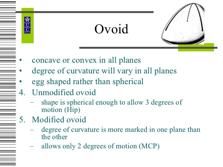 History of Manual Therapy and Arthrology