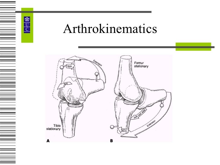 History of Manual Therapy and Arthrology