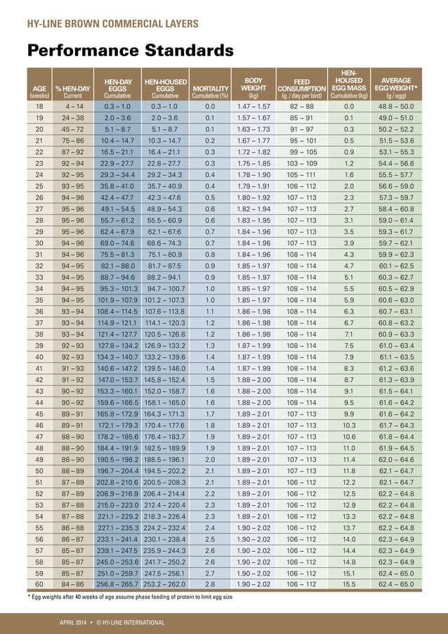 hy-line performance standard.pdf
