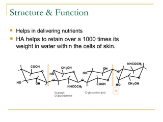 Hyaluronic acid | PPT