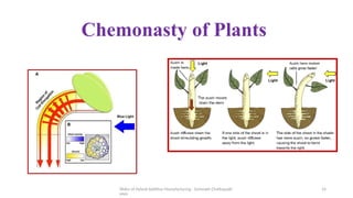 Hybrid Additive Manufacturing application and advanced | PPT