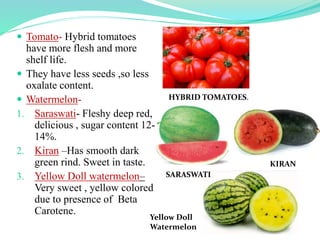 Hybrid breeding in plants | PPTX